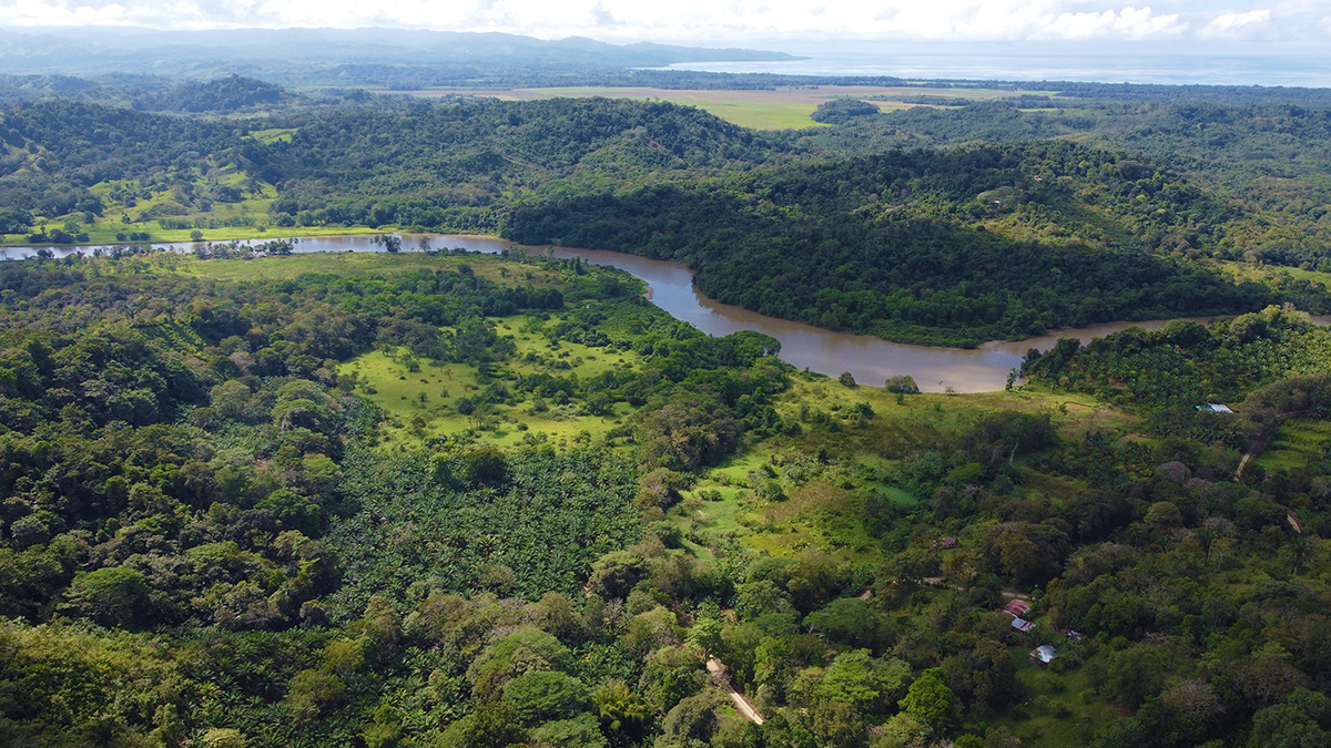 Finca Rio Coto - International Surf Properties