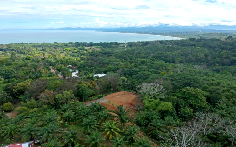 Pavones Pilon Ocean View Lot - International Surf Properties