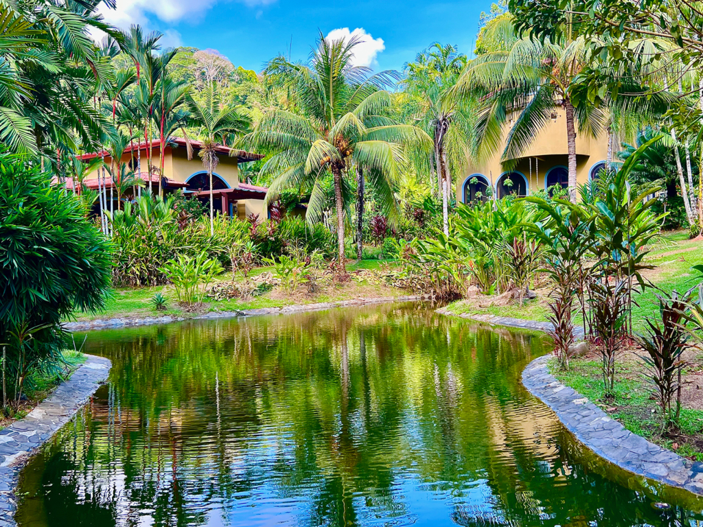 Pavones Beach Resort for Sale - International Surf Properties